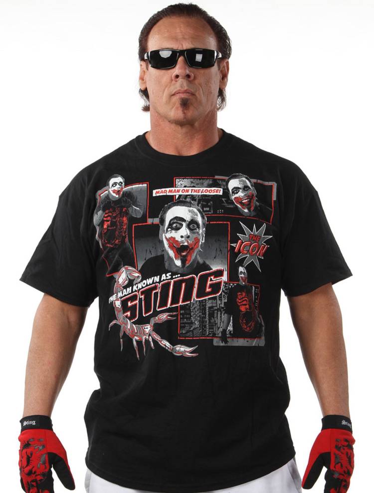 Top 15 Little-Known Facts About Sting