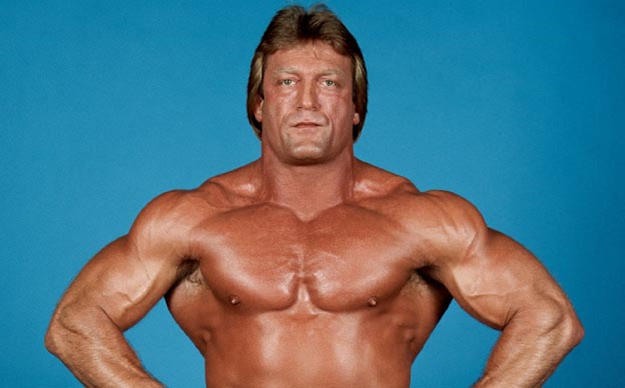 Hulk Hogan Vs. Paul Orndoff: 10 Things Fans Forget About Their WWE Feud