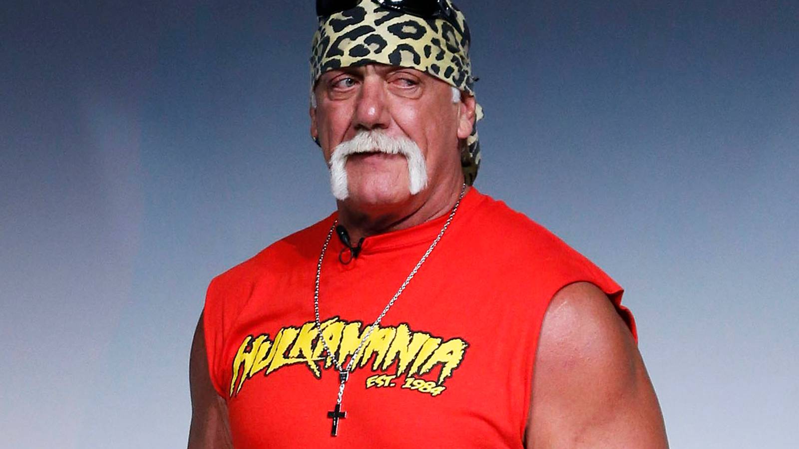 Hulk Hogan Appears On Good Morning America To Issue Apology For Racial ...