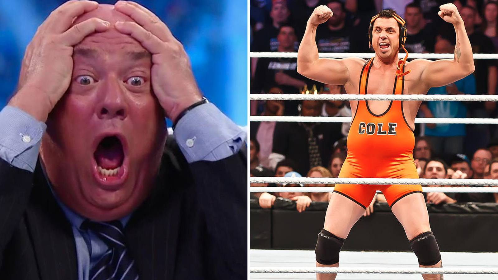 The 8 Best And 7 Worst Non-Wrestling Personalities In WWE History