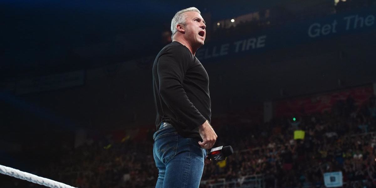 10 Things Fans Should Know About Shane McMahon's Life Outside WWE