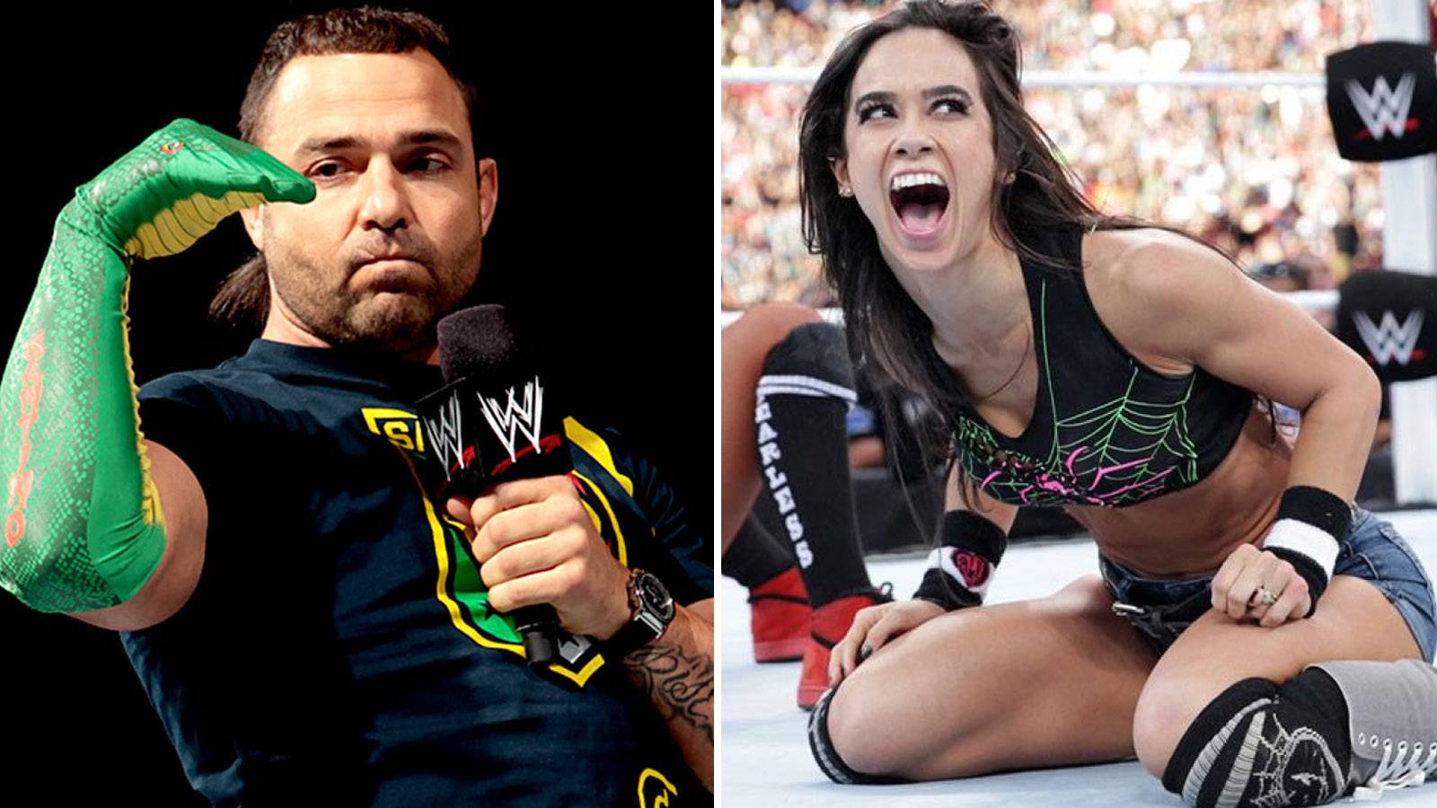 15 Washed Up Wrestlers Who Are Richer Than You Are