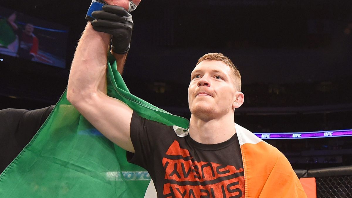 10 Best UFC Fighters From Ireland