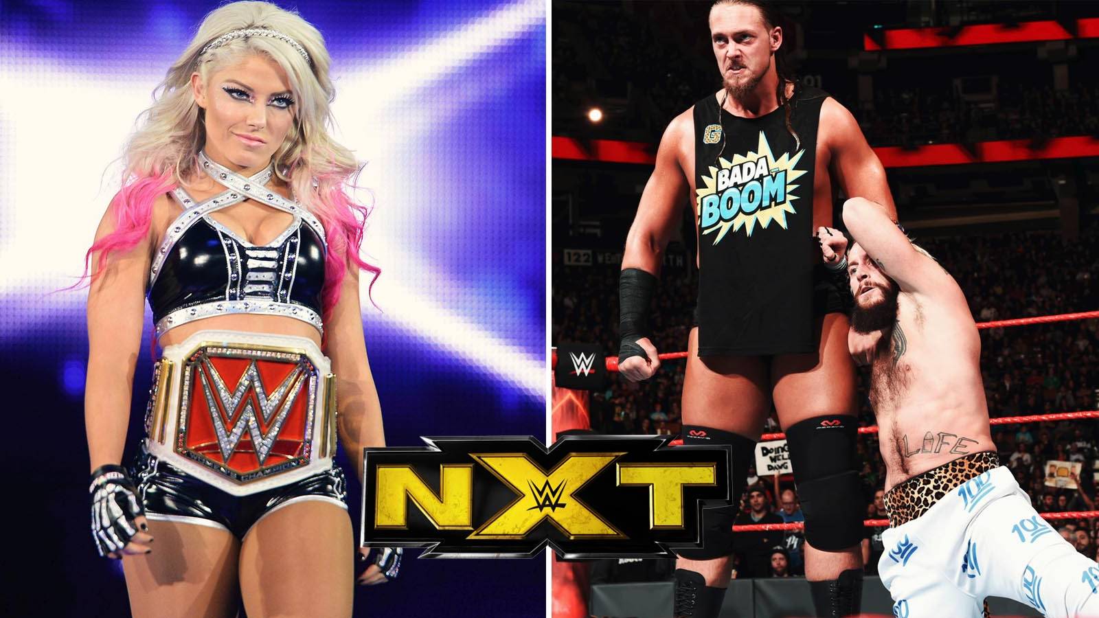NXT Wrestlers Who Have Dominated On The Main Roster And NXT Stars Who ...