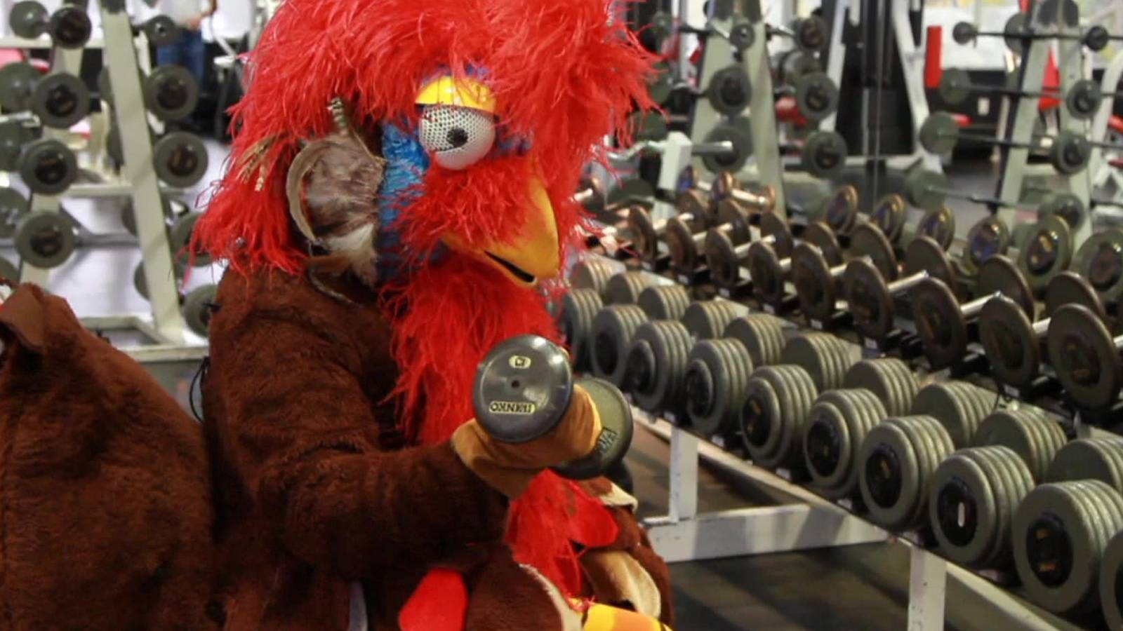 The Story Of WWE’s Gobbledy Gooker, Explained