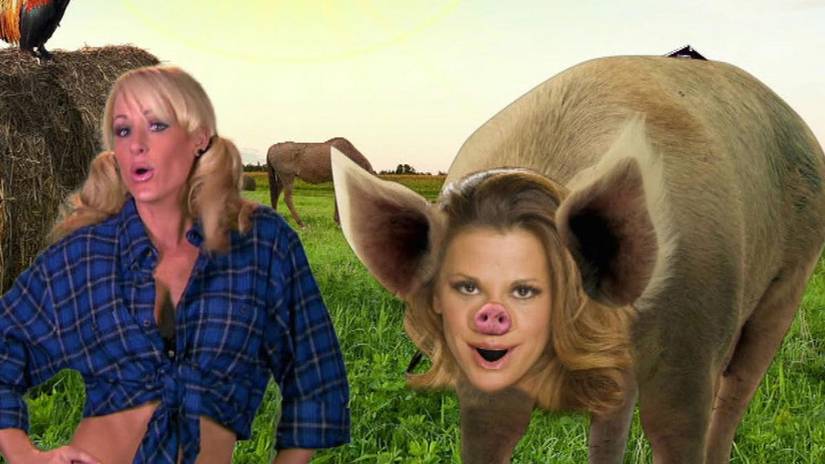 Mickie James Felt 'Punished' During WWE's 'Piggy James' Storyline