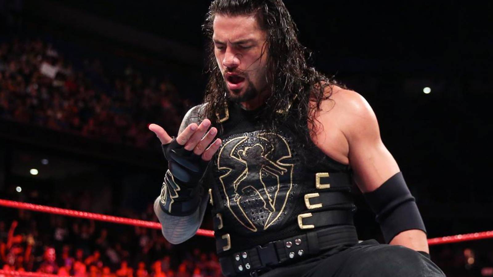 Roman Reigns' Touching Moment With A Fan Makes It Hard To Boo Him