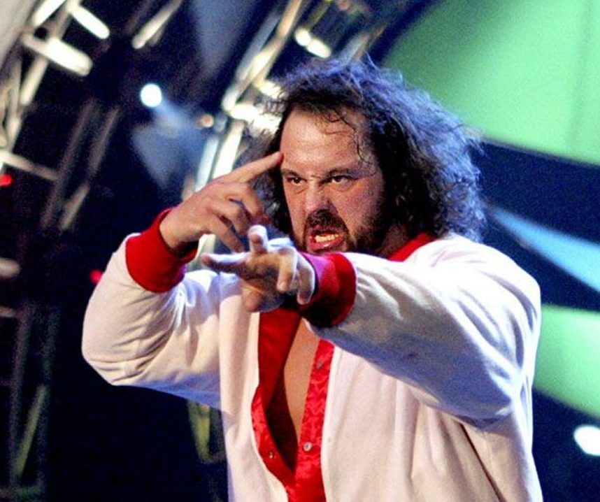 WWE Stars Who Succeeded Despite A Terrible Theme (And Who Needed It To ...