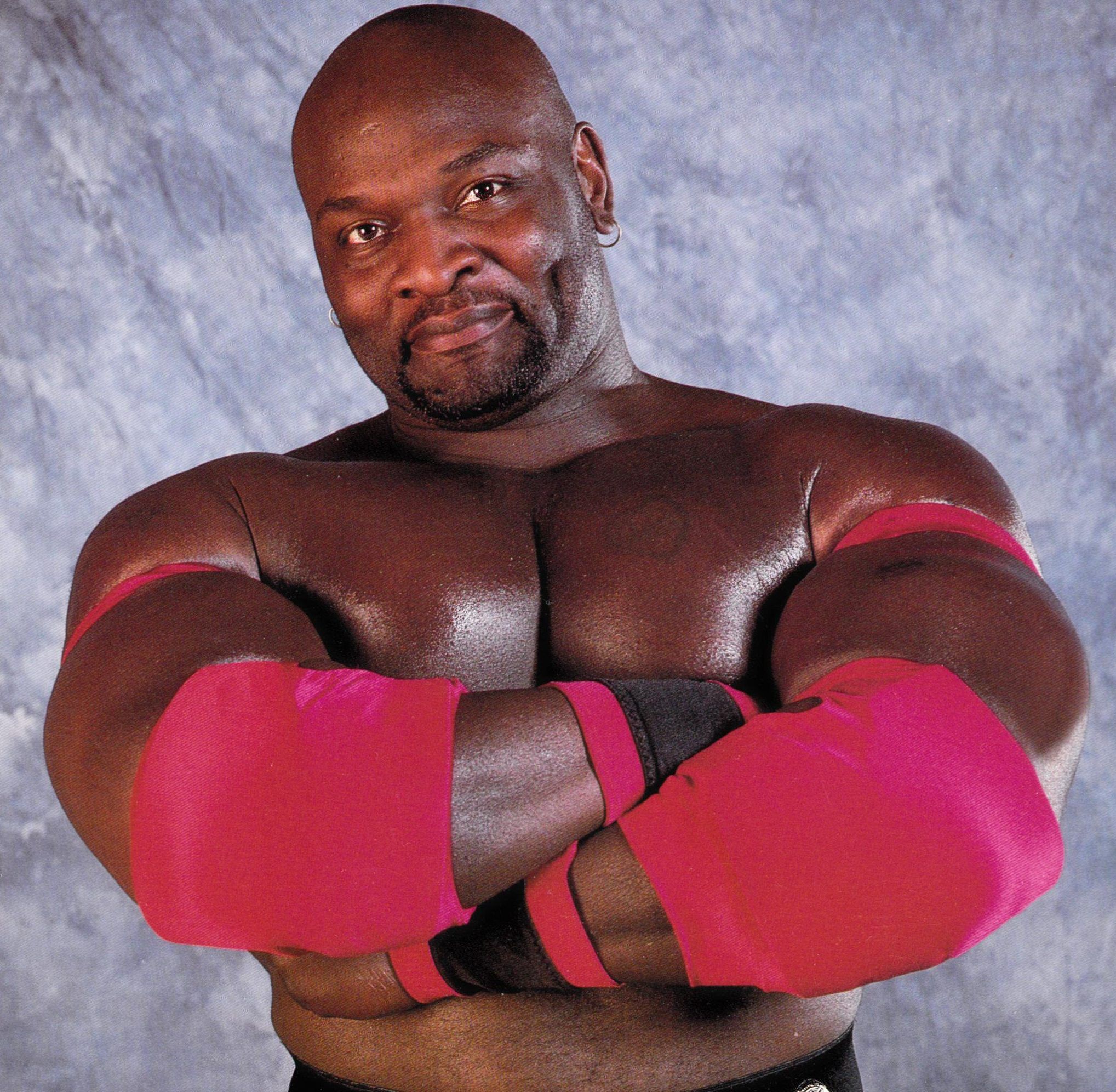 11 Muscular Wrestlers Who Were Obviously Enhanced (And 11 Smaller ...