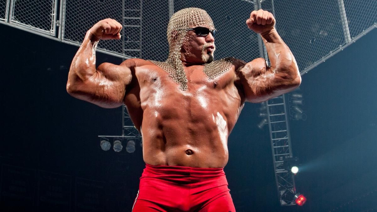 11 Muscular Wrestlers Who Were Obviously Enhanced (And 11 Smaller ...