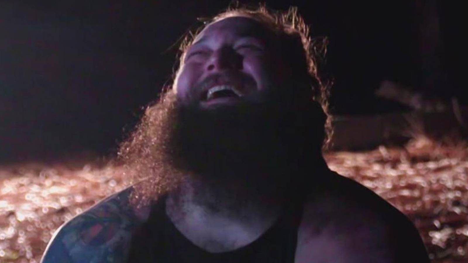 Bray Wyatt Breaks Silence After Being 'Deleted'