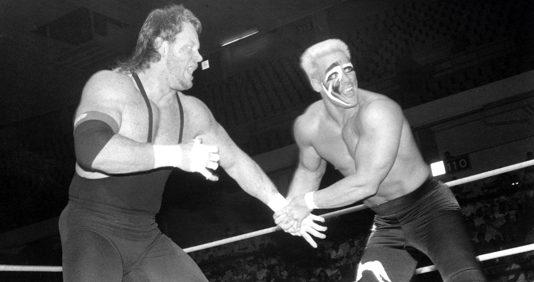 Undertaker Vs Sting Actually Happened… Kind Of