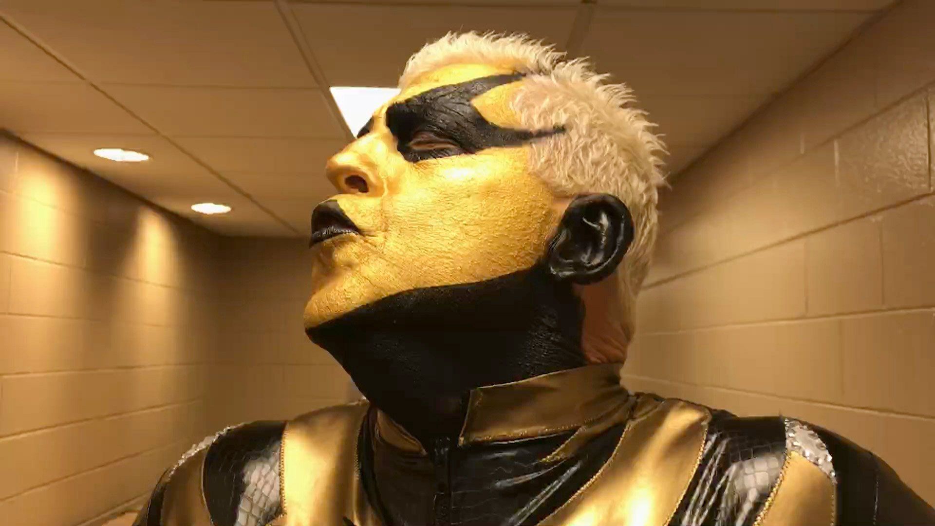 Goldust Posts Possible Retirement Letter On Twitter