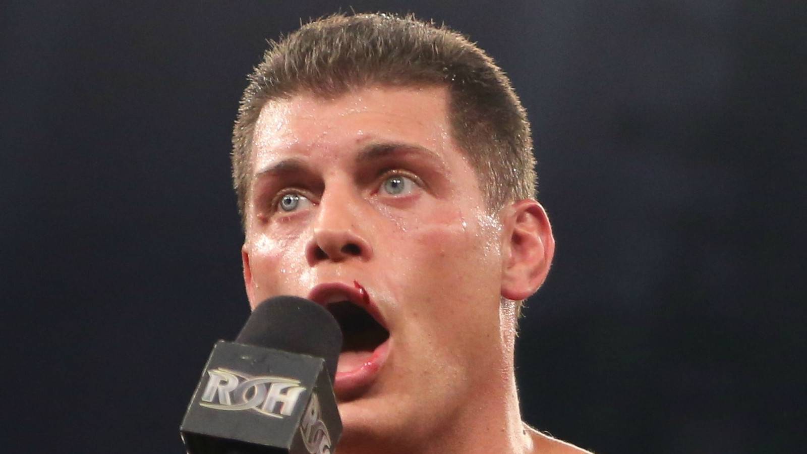 Cody Rhodes Comments On WWE Network Bruno Sammartino Special