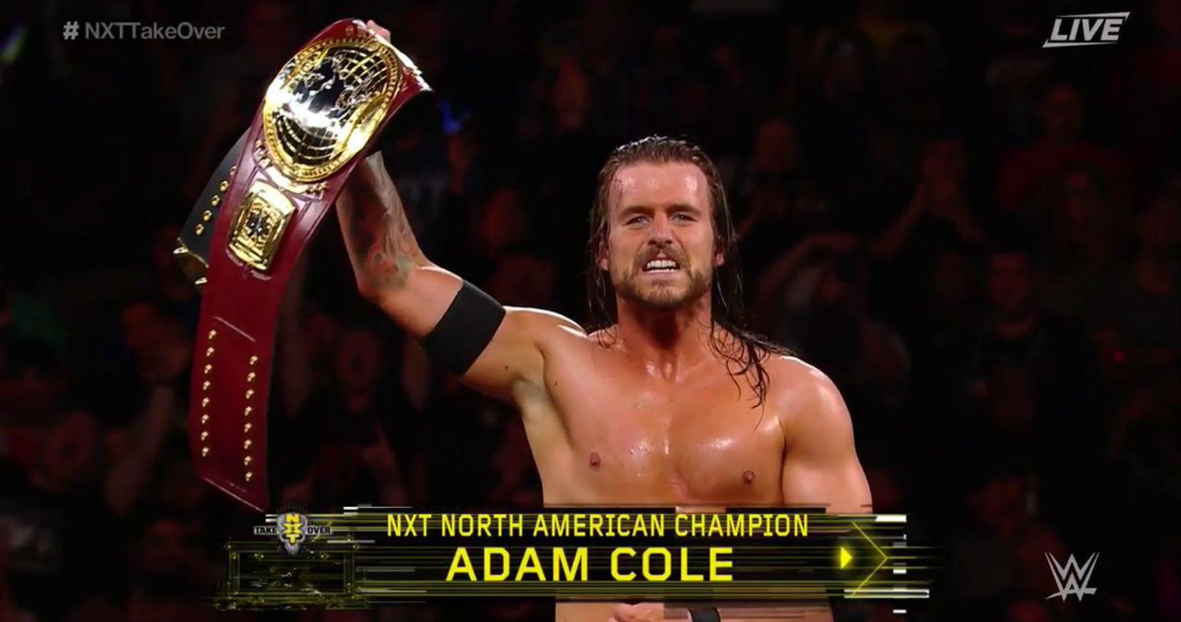 Adam Cole Wins NXT North American Title In Chaotic Ladder Match