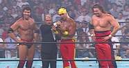 How A Former WCW Star Convinced Hulk Hogan To Turn Heel