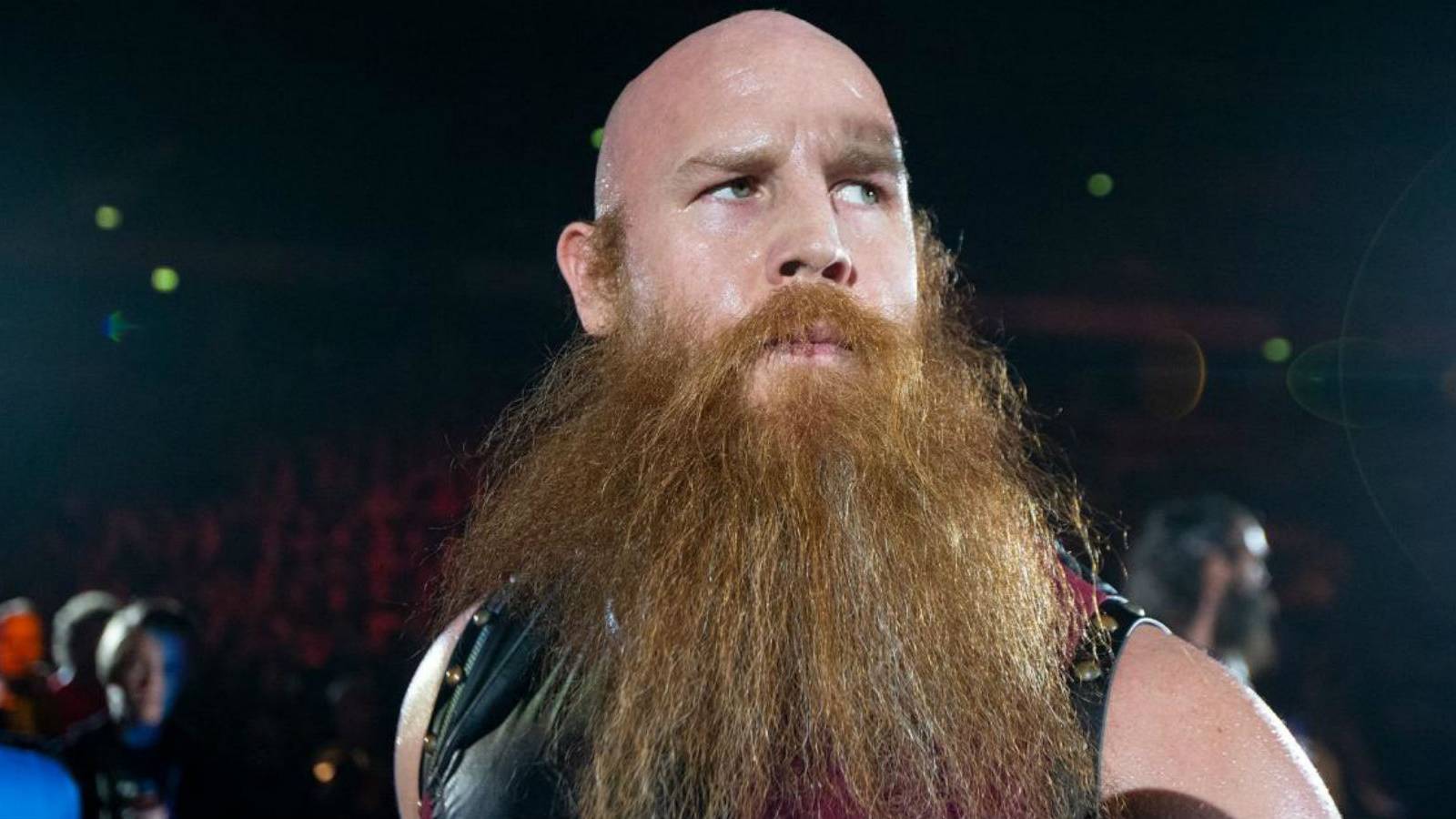 Rowan’s Name Misspelled In WWE 2K19 Ratings Reveal