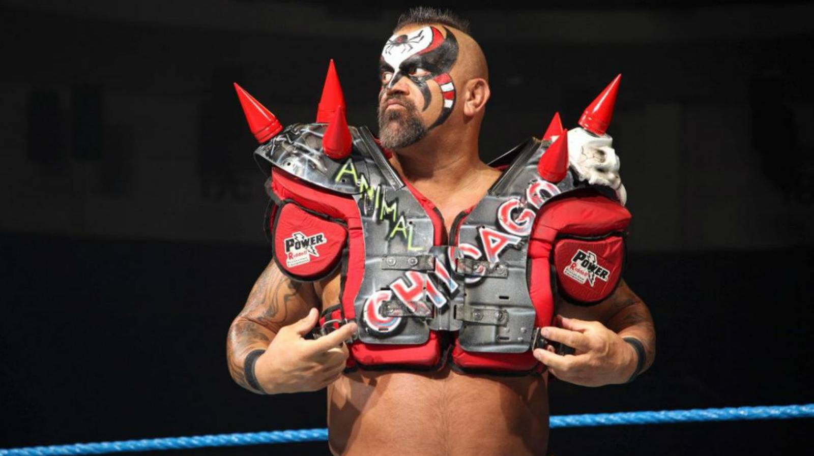 Road Warrior Animal Reveals The One Plan He Wished He Pitched To Vince ...