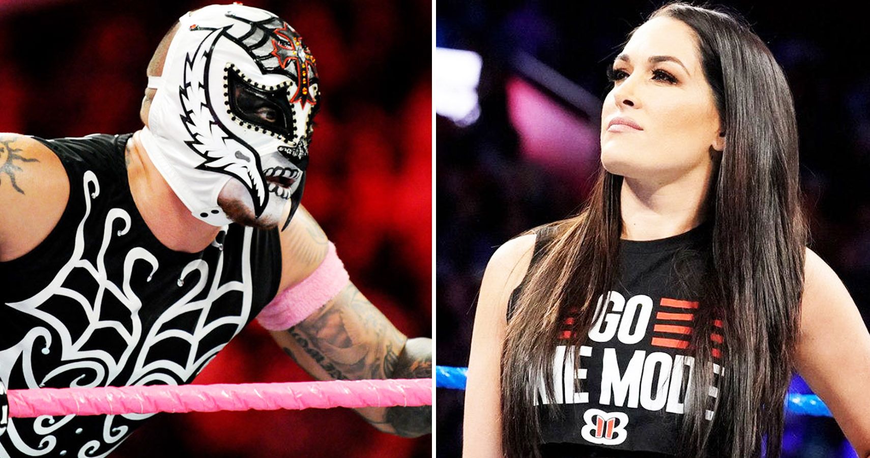 20 Simple Moves That These Wrestlers Completely Botched