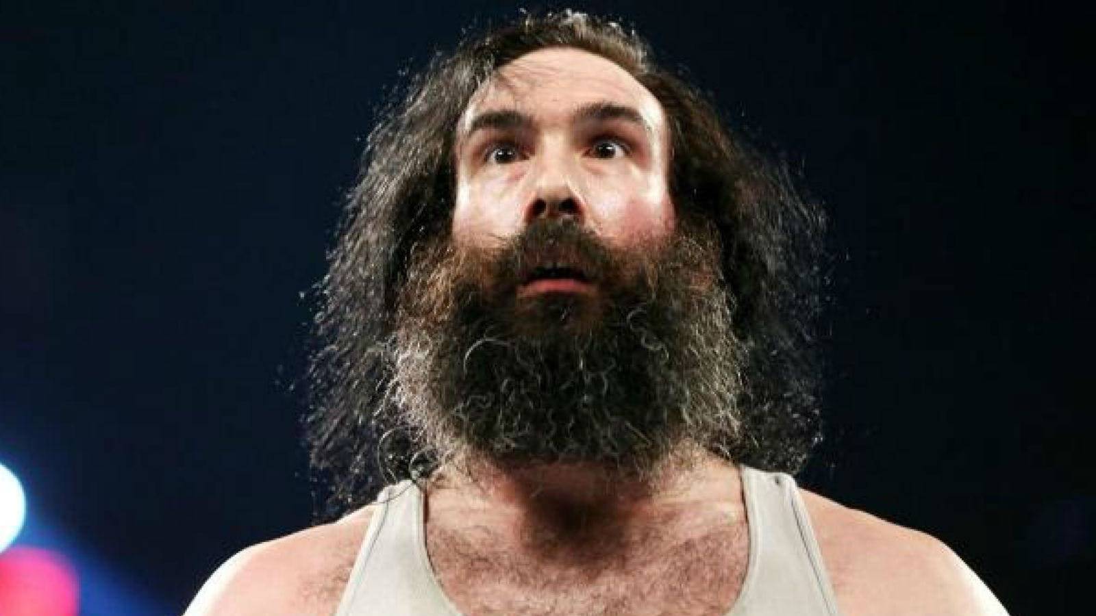Backstage Details On WWE's Future For Luke Harper Prior To Contract ...