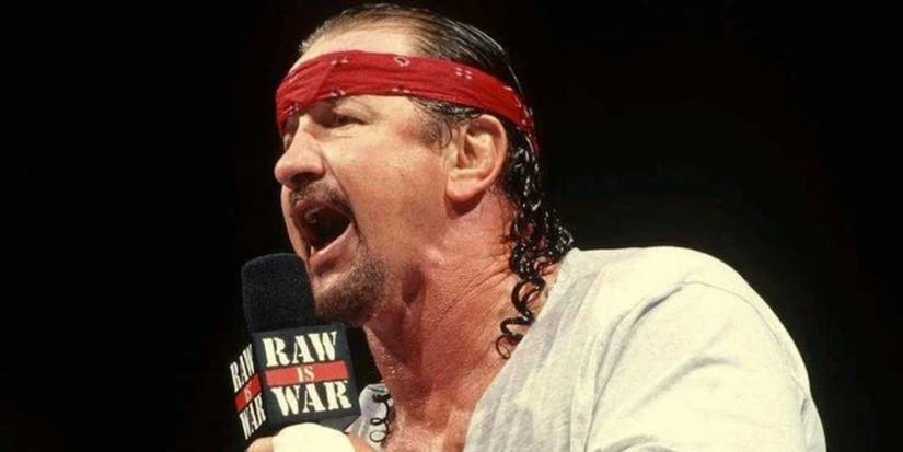 Why Terry Funk's Time In WWE Was So Bizarre, Explained