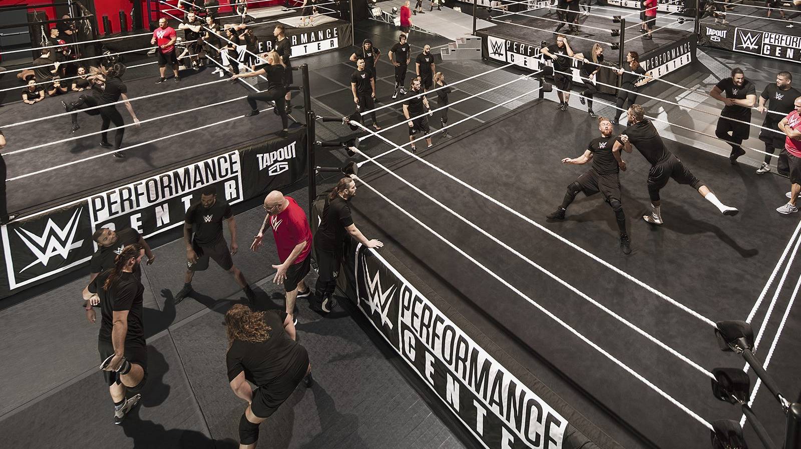 10 Facts And Trivia About The WWE Performance Center That Most Fans Don ...