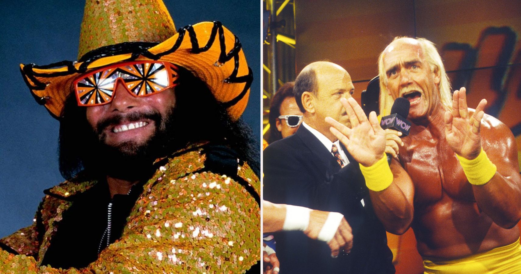 5 Reasons Why Randy Savage Should Have Been The Face Of WWE (& 5 Why ...
