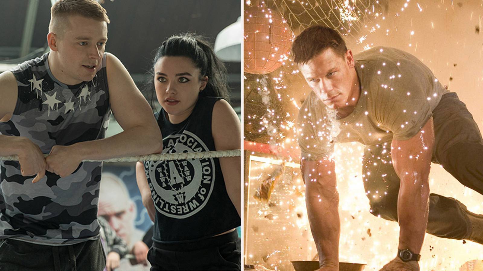 5 Best WWE Studios Movies Ever (& 5 Worst)