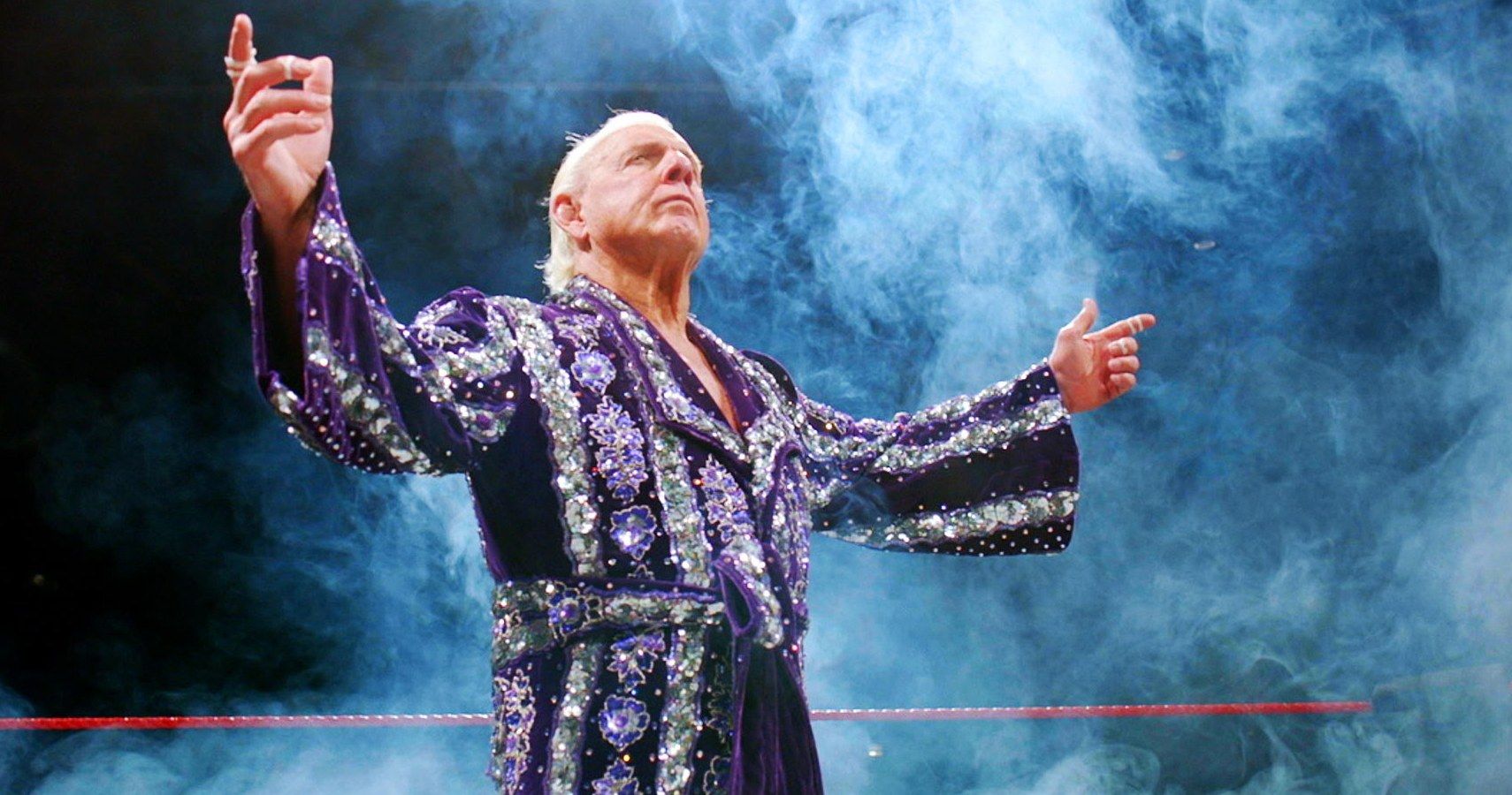 5 Wrestlers That Were Legends For Both WWE and WCW (& 5 That Flopped In ...