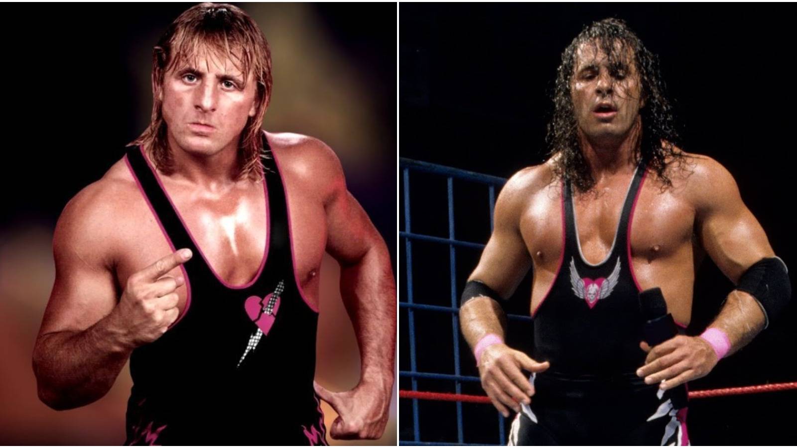 10 Times A Wrestler Turned On Their Best Friend