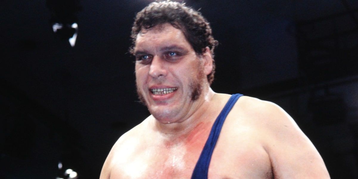 Hulk Hogan’s 10 Best Rivalries