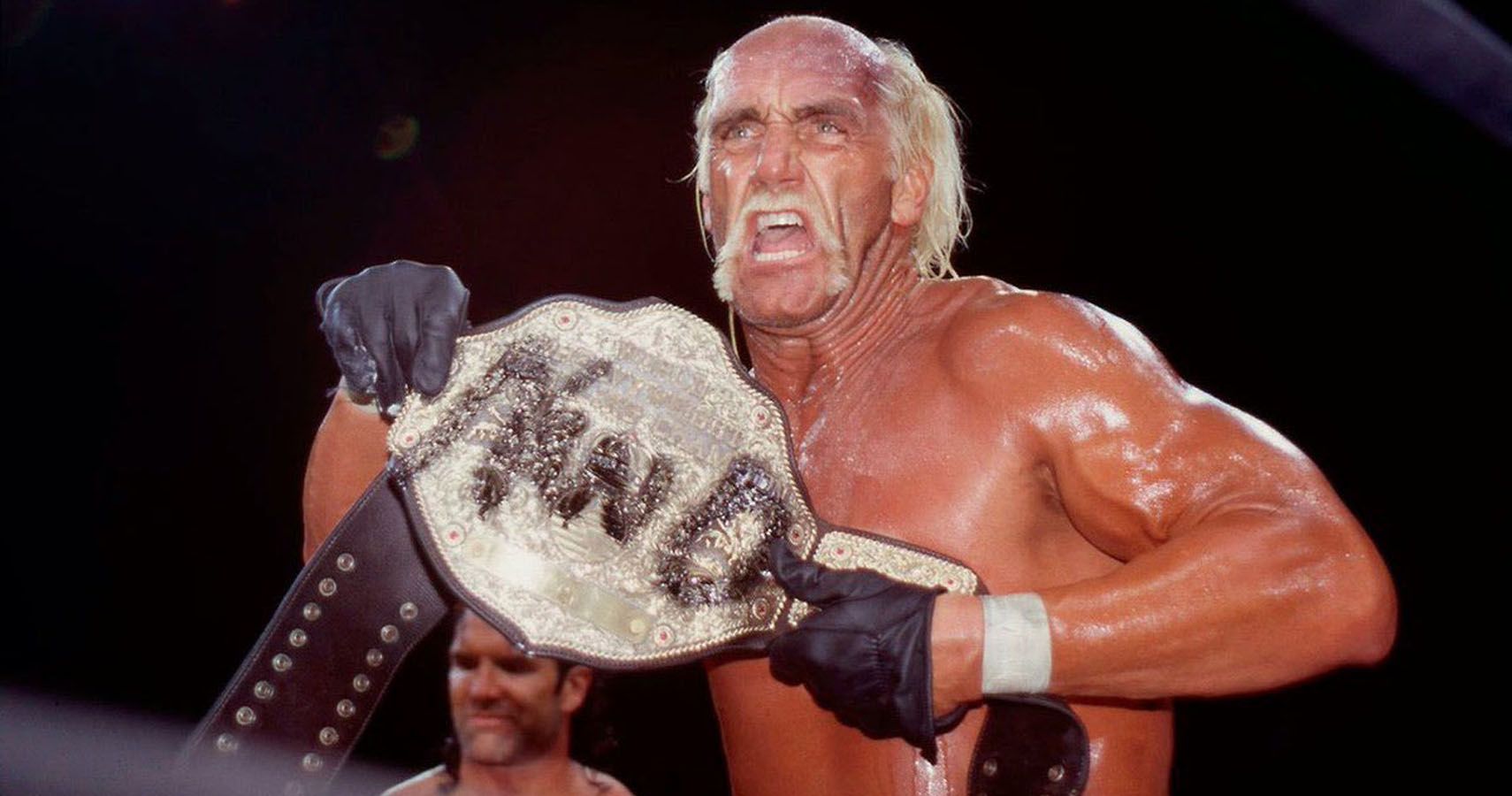 Ric Flair vs. Hulk Hogan: Who Was WCW's Best World Champion?