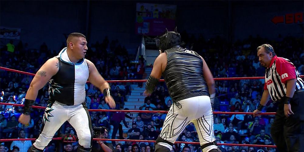 5 Wrestling Promotions That Will Rise This Decade (& 5 That Will Fall)