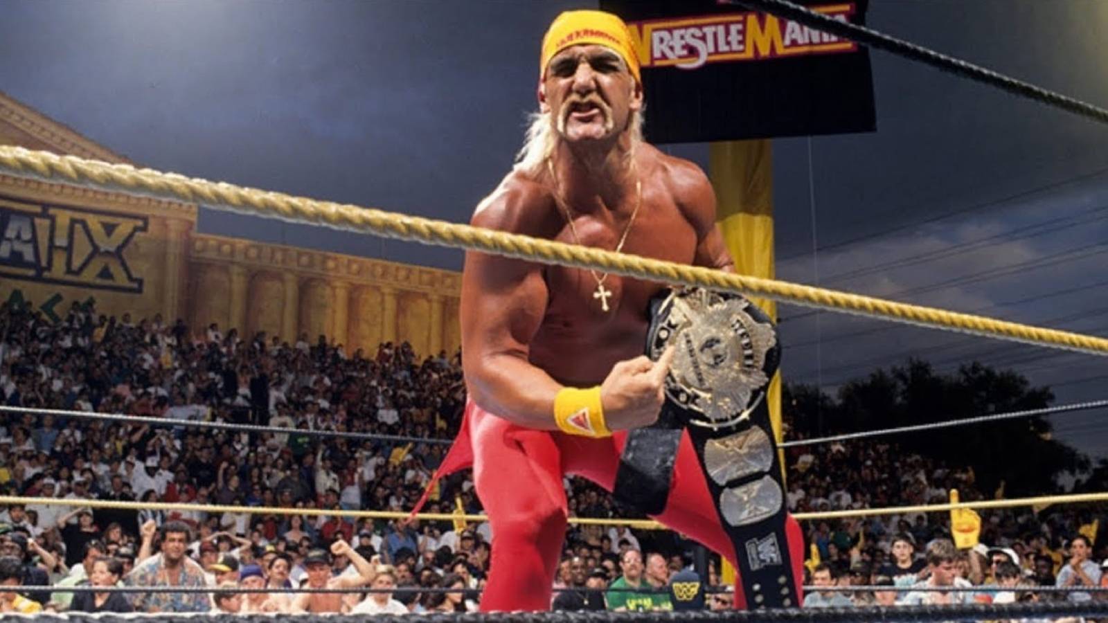 5 Retired WWE Stars We May See Wrestle Again (And 5 Retiring Soon)