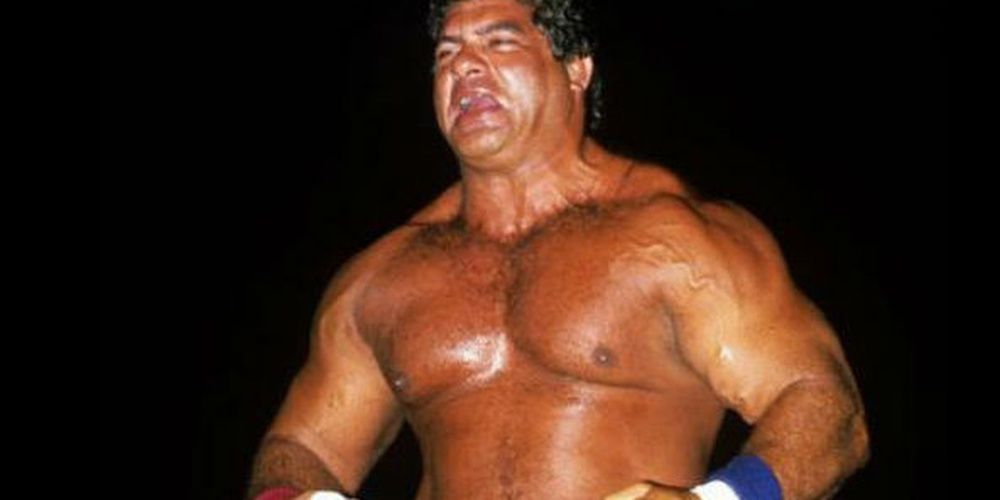 10 '80s Heels Who Hulk Hogan Kept From Winning The WWE Championship