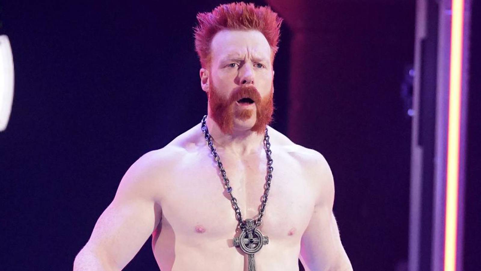 After Injury, Sheamus Shares Title Goals and WWE Retirement Date