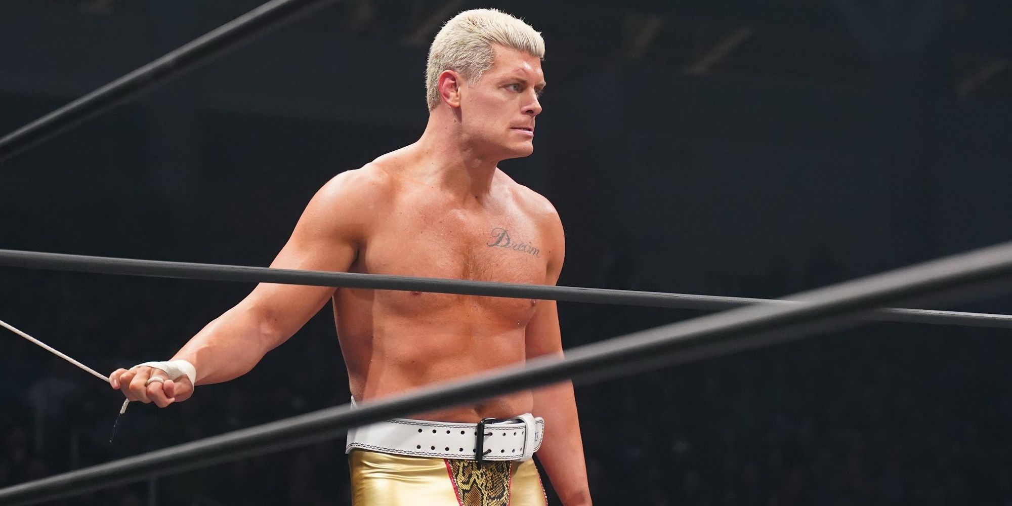 AEW Revolution: 5 Reasons MJF Should Be Victorious (& 5 Reasons Cody ... AEW Revolution: 5 Reasons MJF Should Be Victorious (& 5 Reasons Cody ...