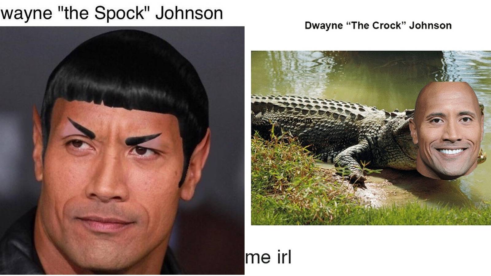 The Great One: 10 Hilarious Dwayne "The Rock" Johnson Memes