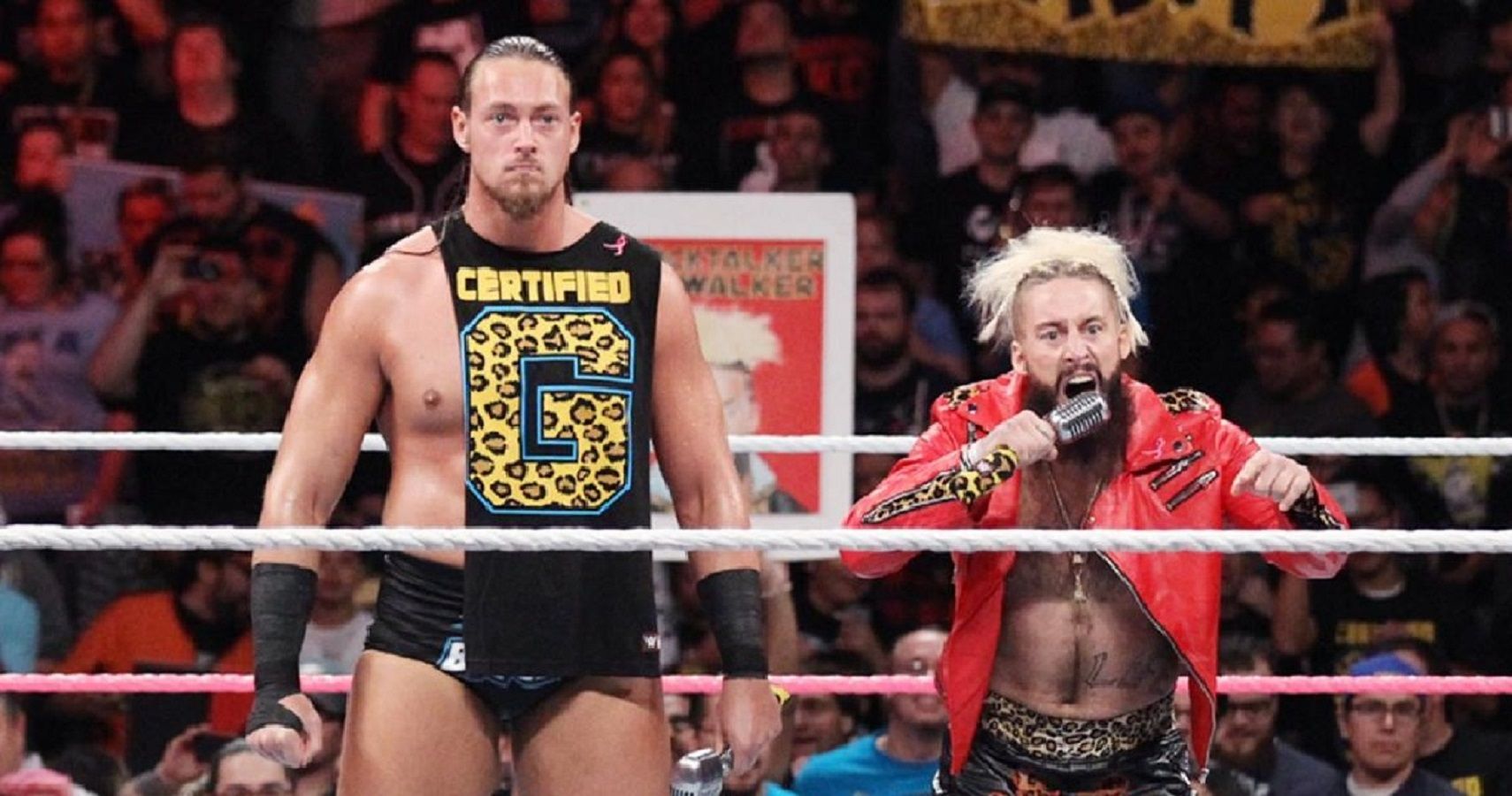 The 10 Greatest Tag Teams To Never Win Titles