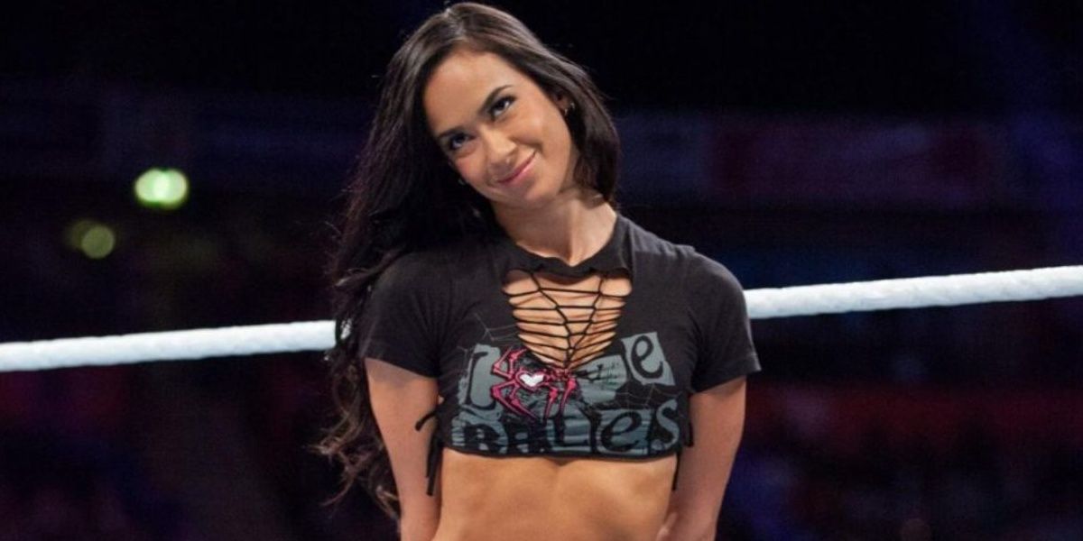 10 Things About AJ Lee That Would Never Fly Today