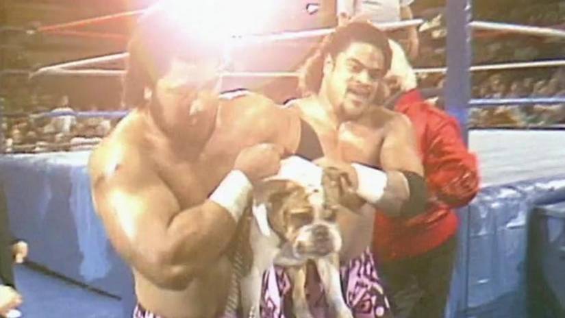 10 Heenan Family WWE Moments You Completely Forgot About