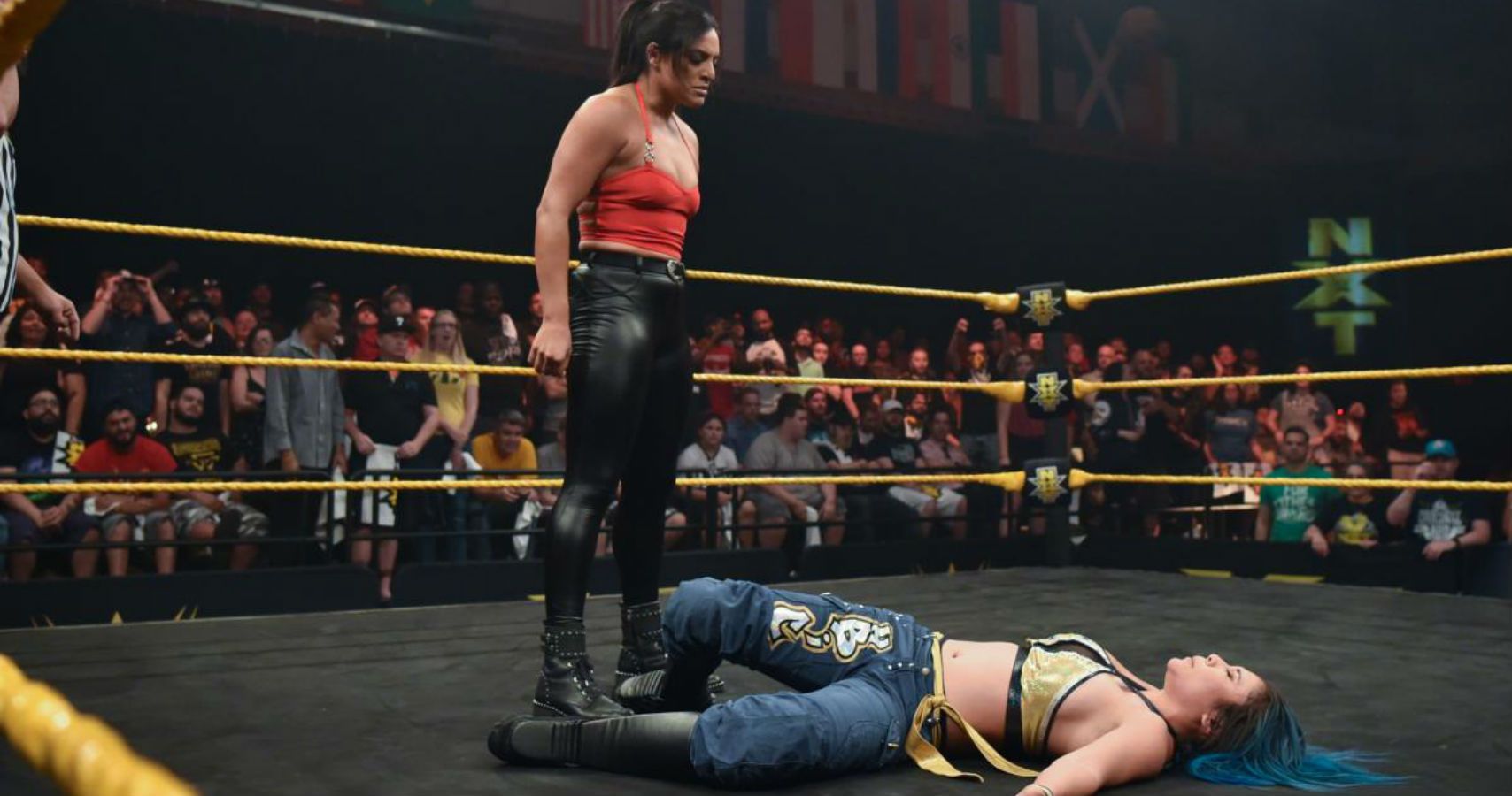 Two More Superstars Qualify For NXT TakeOver: Tampa Ladder Match