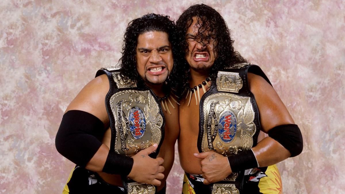 10 Tag Team Wrestlers Who Couldn't Succeed Without Their Partners