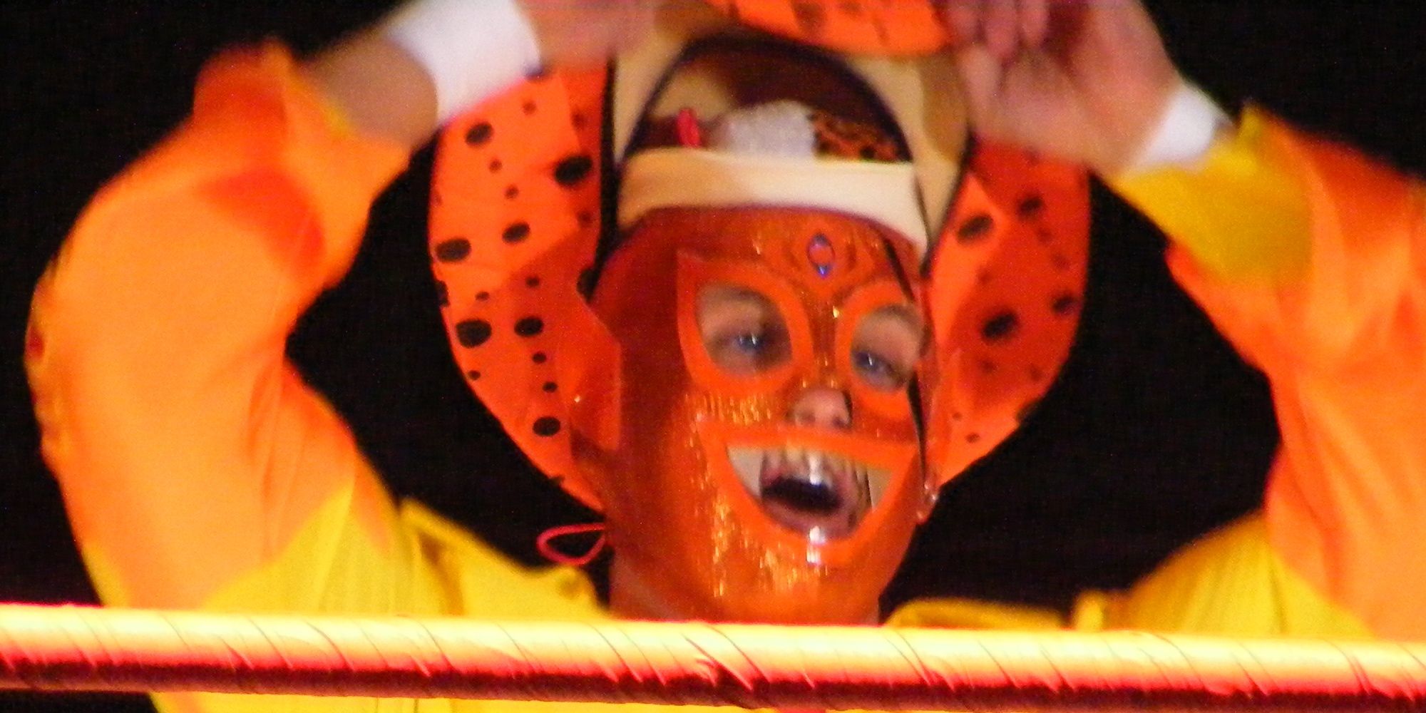 Curry Man (& 9 Other Times Great Wrestlers Had Silly Gimmicks)