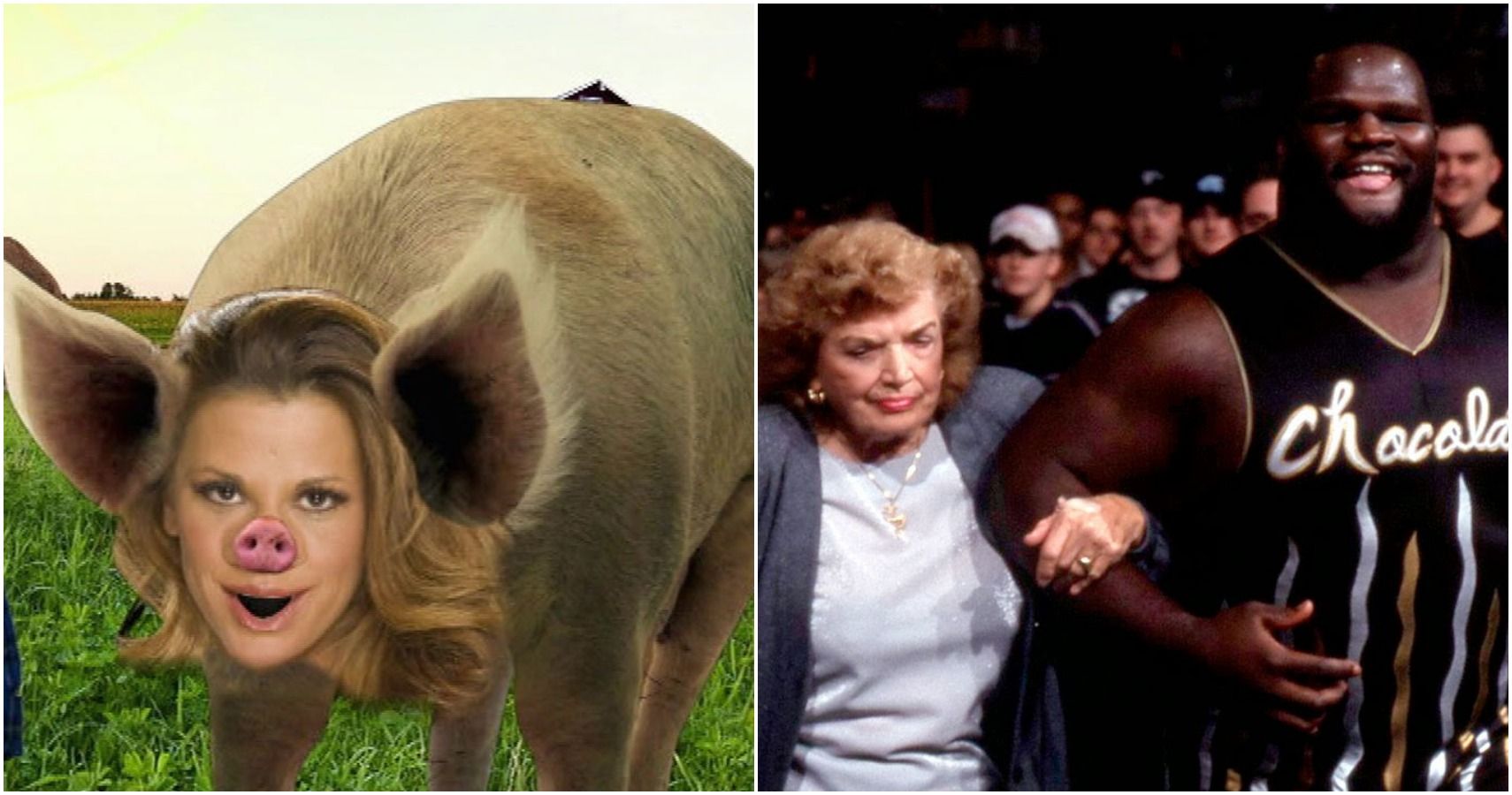 The 10 Most Ridiculous Storylines Involving The Women Of WWE