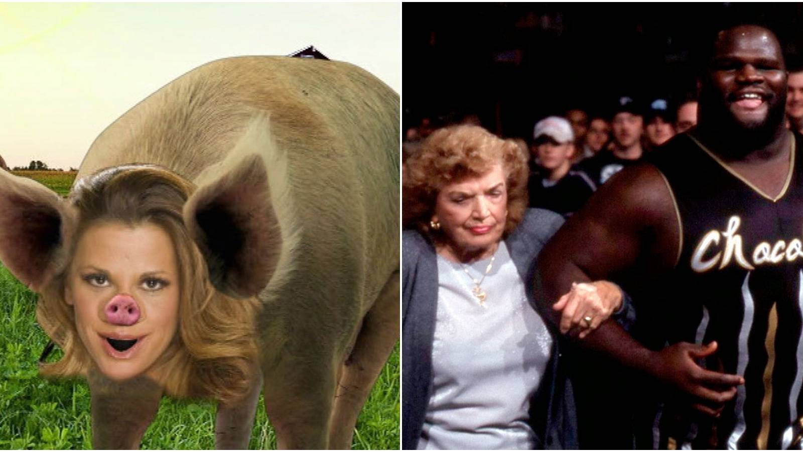 The 10 Most Ridiculous Storylines Involving The Women Of WWE