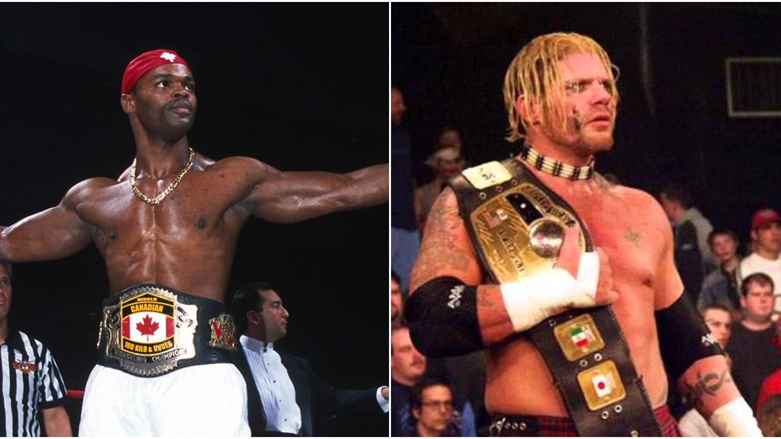 10 Wrestlers You Forgot Held Titles In Both TNA & WCW