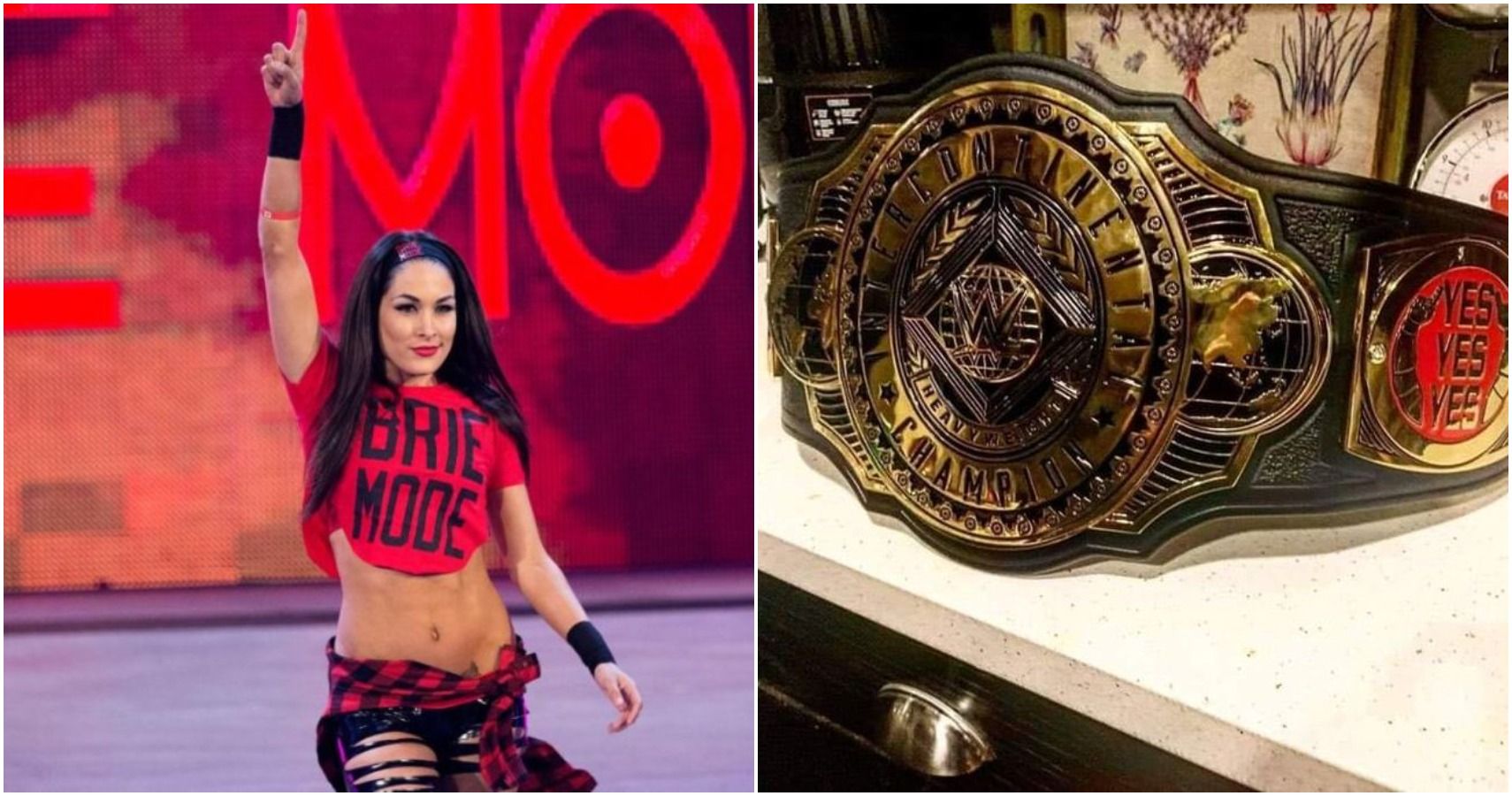No, Brie Bella Did Not Spoil The Result Of The Upcoming WWE ...