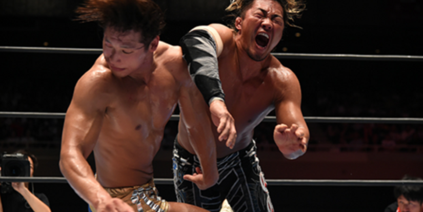 Biggest Countries In The World For Pro Wrestling