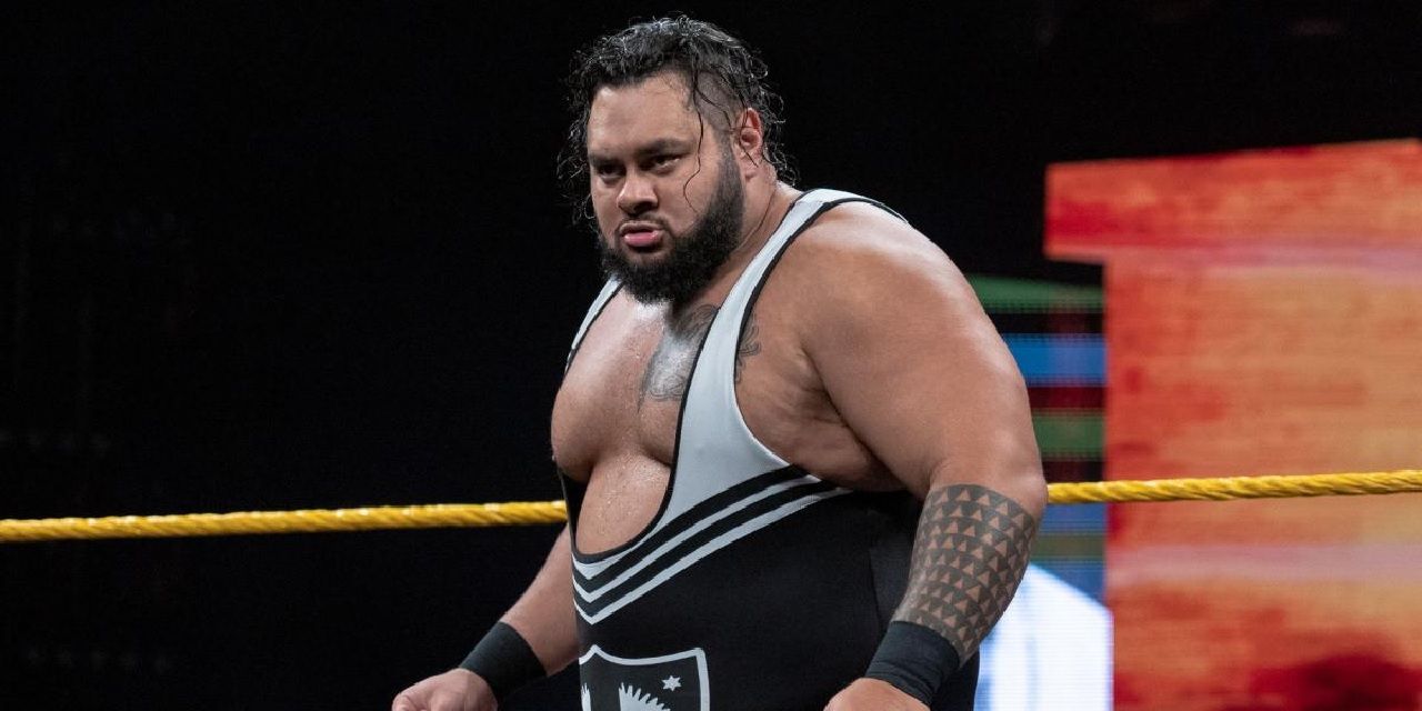 5 Most Successful Recent NXT Signings (& 5 That Are Struggling)